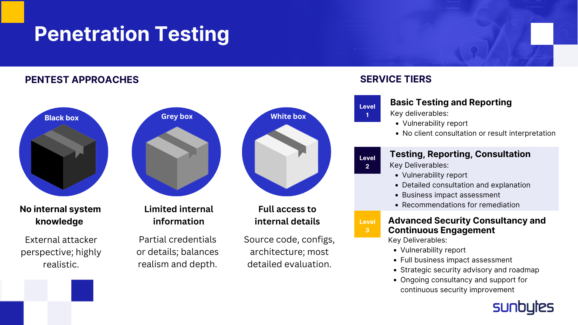 The complete guide to penetration testing for businesses | Sunbytes
